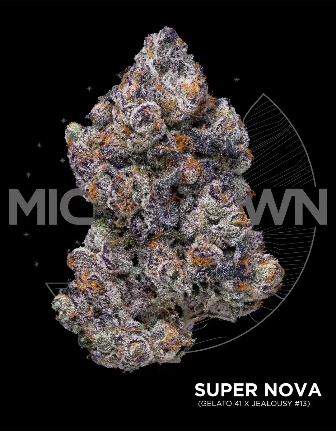Super Nova Strain | Potent & Celestial Cannabis by Michigrown