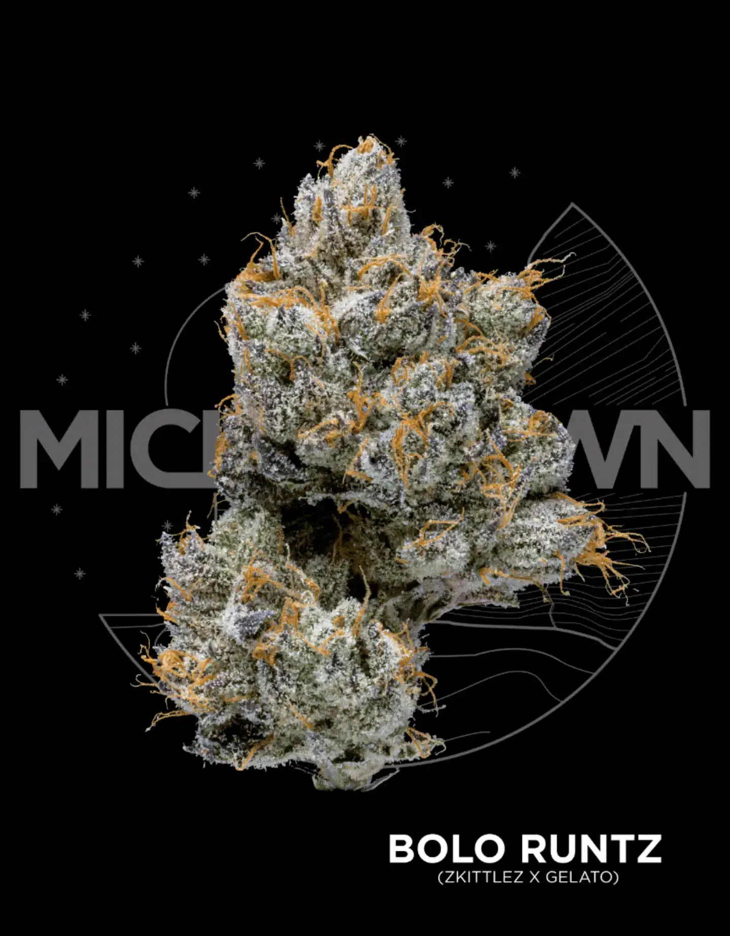 Bolo Runtz Strain – Sweet and Fruity Cannabis Hybrid