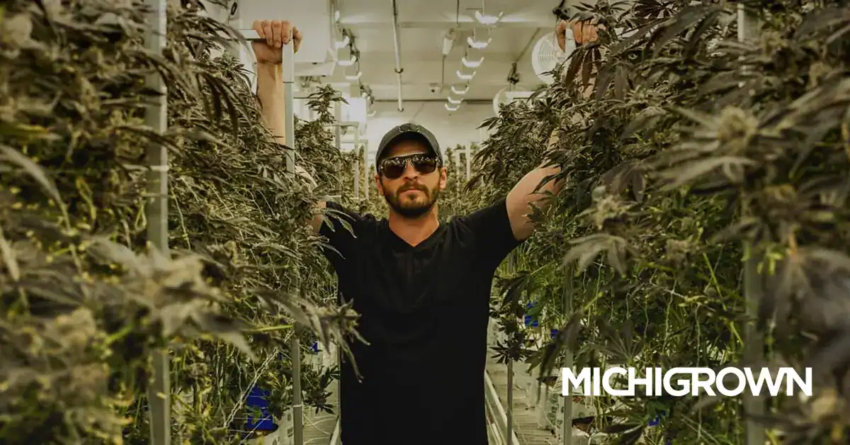 Daily’s Cannabis – Consistent Quality for Everyday Use